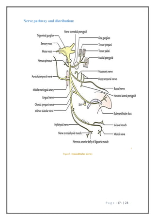 Trigeminal nerve the maxillary and the mandibular branches1 | DOCX ...