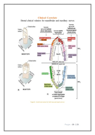 Trigeminal nerve the maxillary and the mandibular branches1 | DOCX