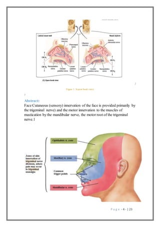 Trigeminal nerve the maxillary and the mandibular branches1 | DOCX