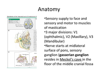 Trigeminal neuralgia | PPT