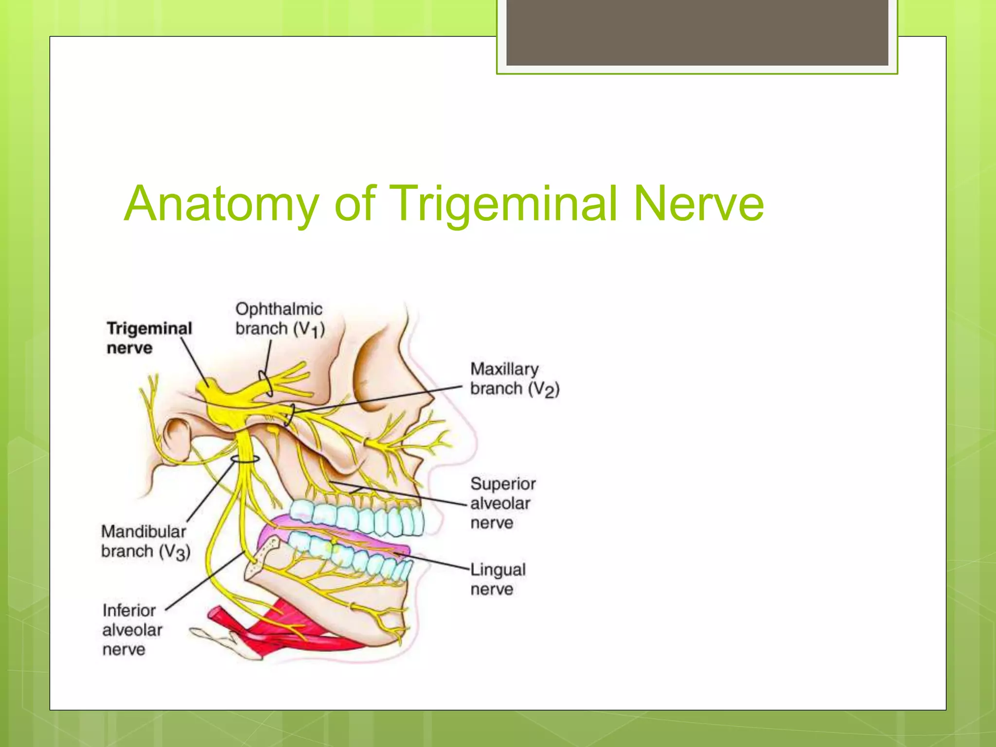 Trigeminal Neuralgia | PPTX