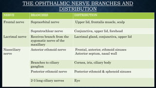 Trigeminal neuralgia | PPTX