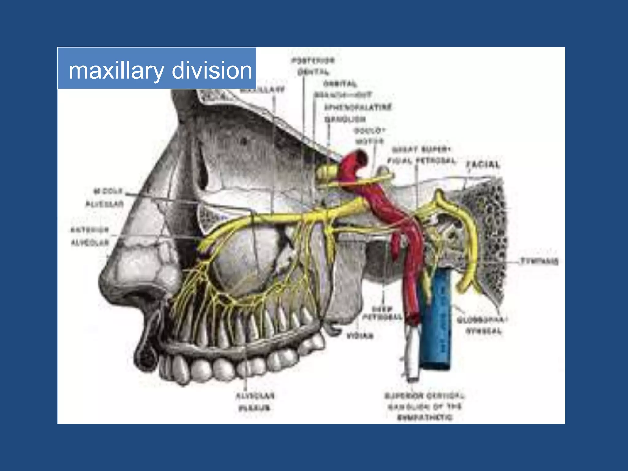 Trigeminal neuralgia dkg | PPTX