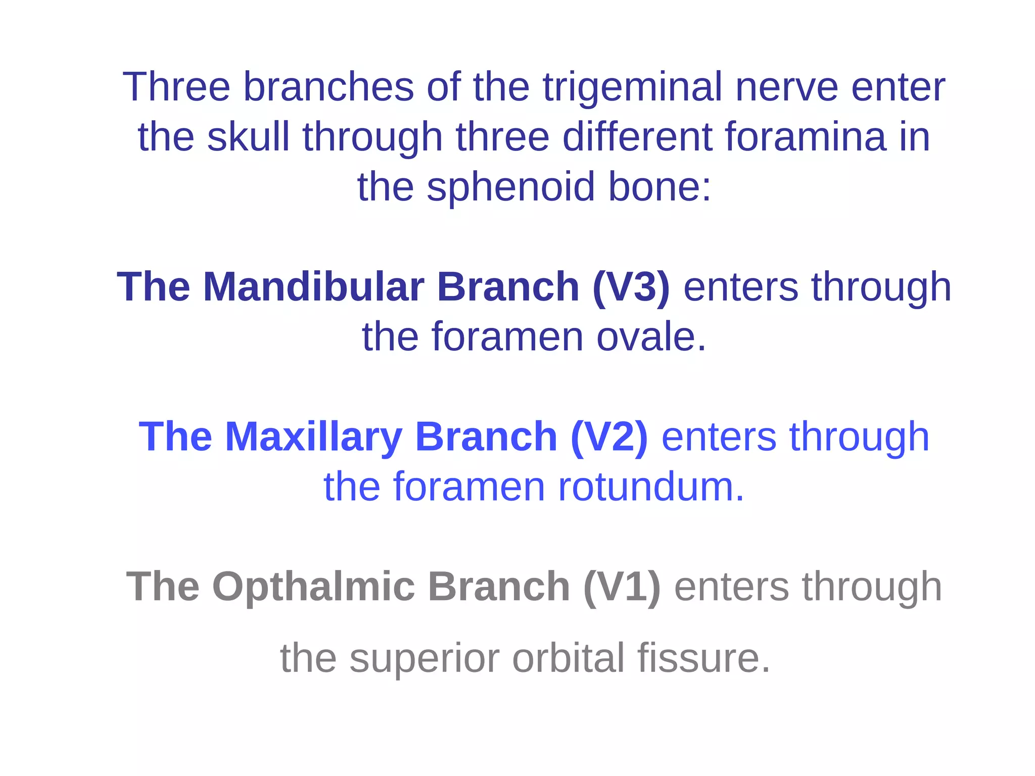 Trigeminal Nociceptive Facilitation | PPT