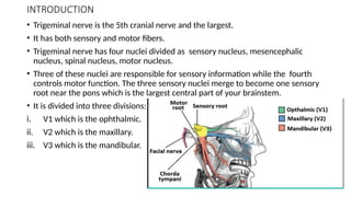 TRIGEMINAL NERVE (VII) GROUP 5.2 Final.pptx