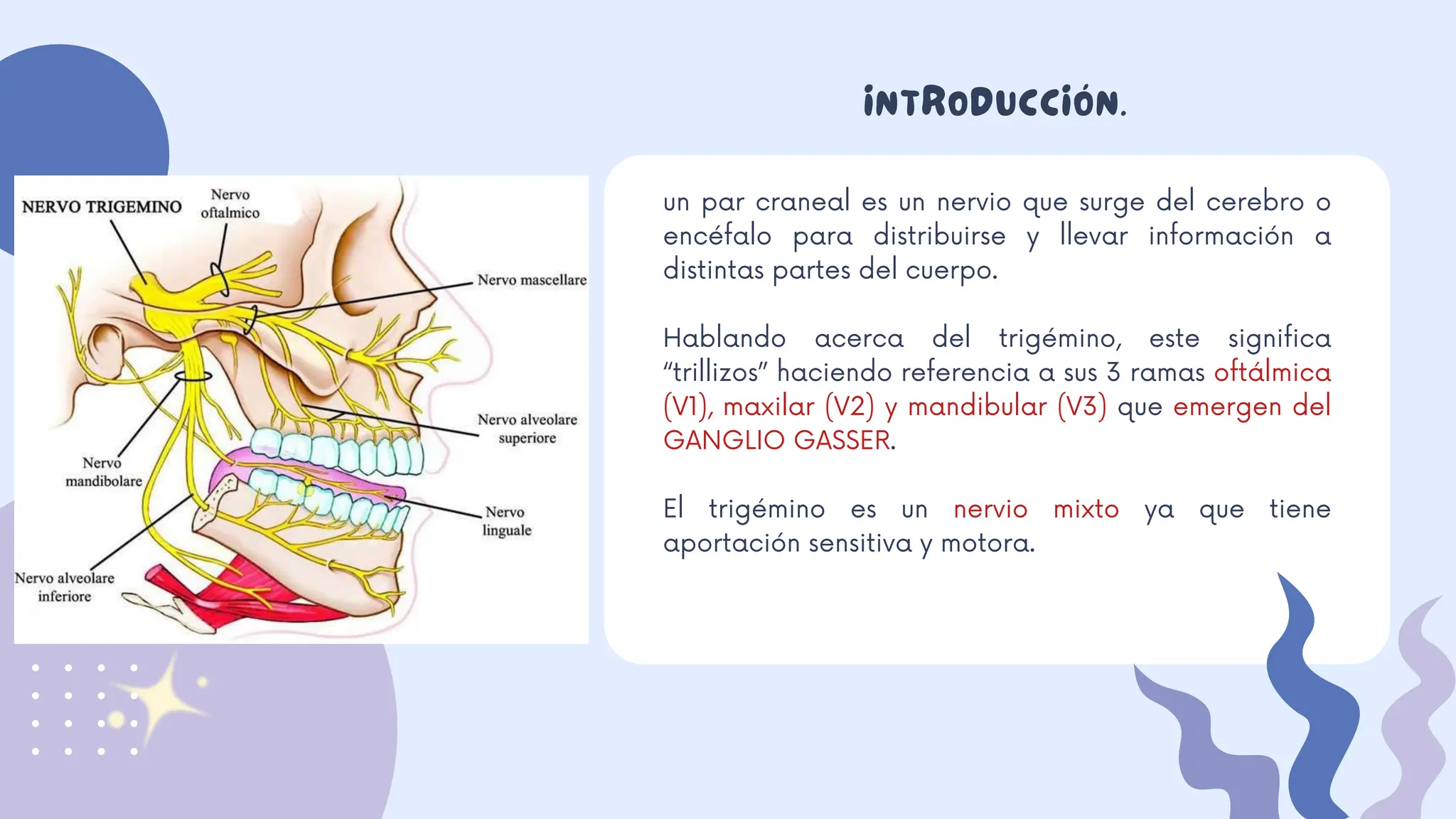 presentacion sobre el par craneal numero 5 | PDF