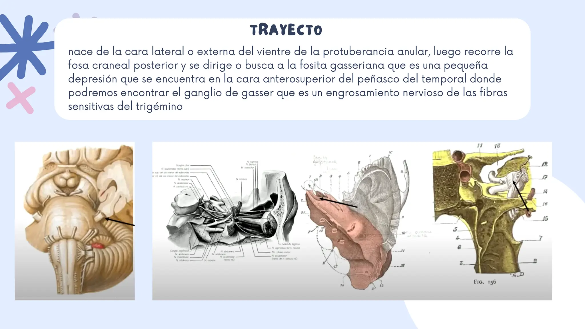 presentacion sobre el par craneal numero 5 | PDF