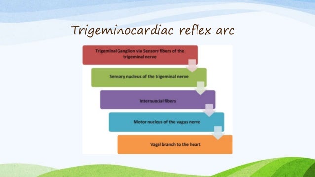 Trigemino cardiac reflex
