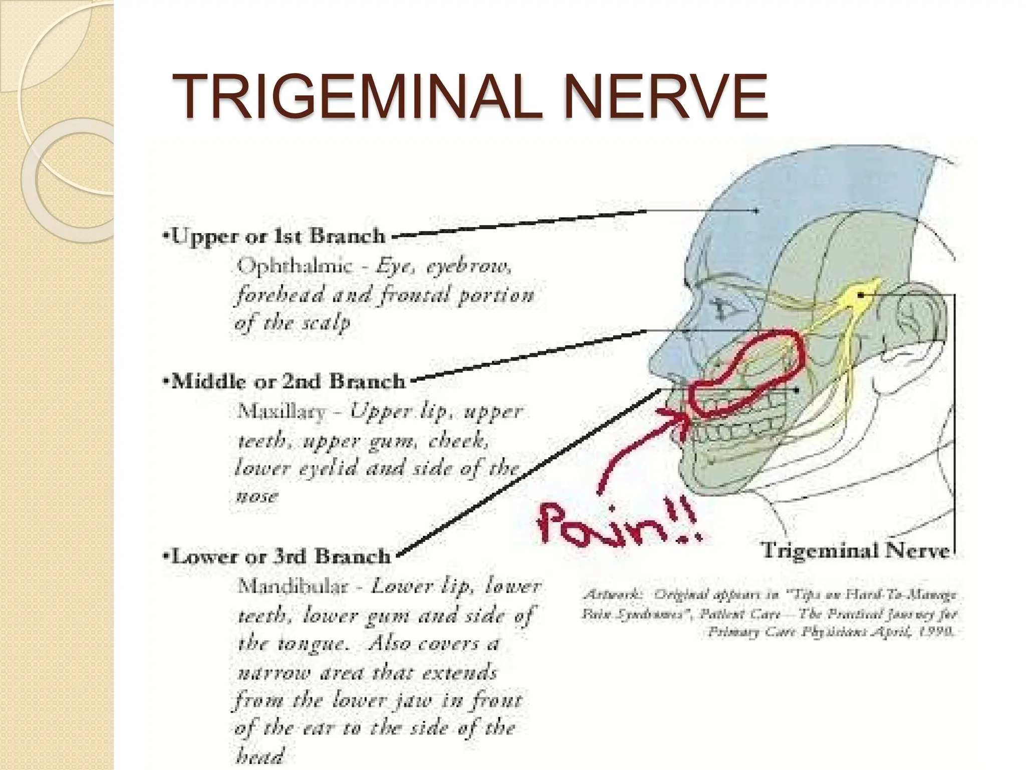 Trigemnal Neuralgia & Facial Nerve Paralysis.pptx