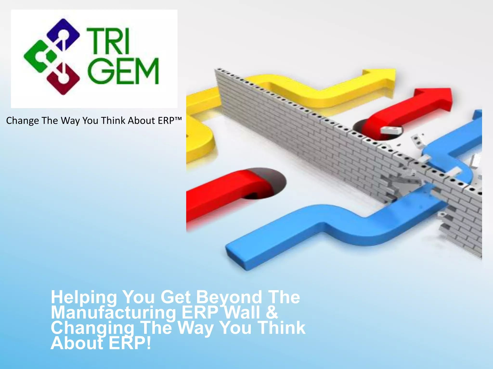 Tri Gem Company Overview | PPTX