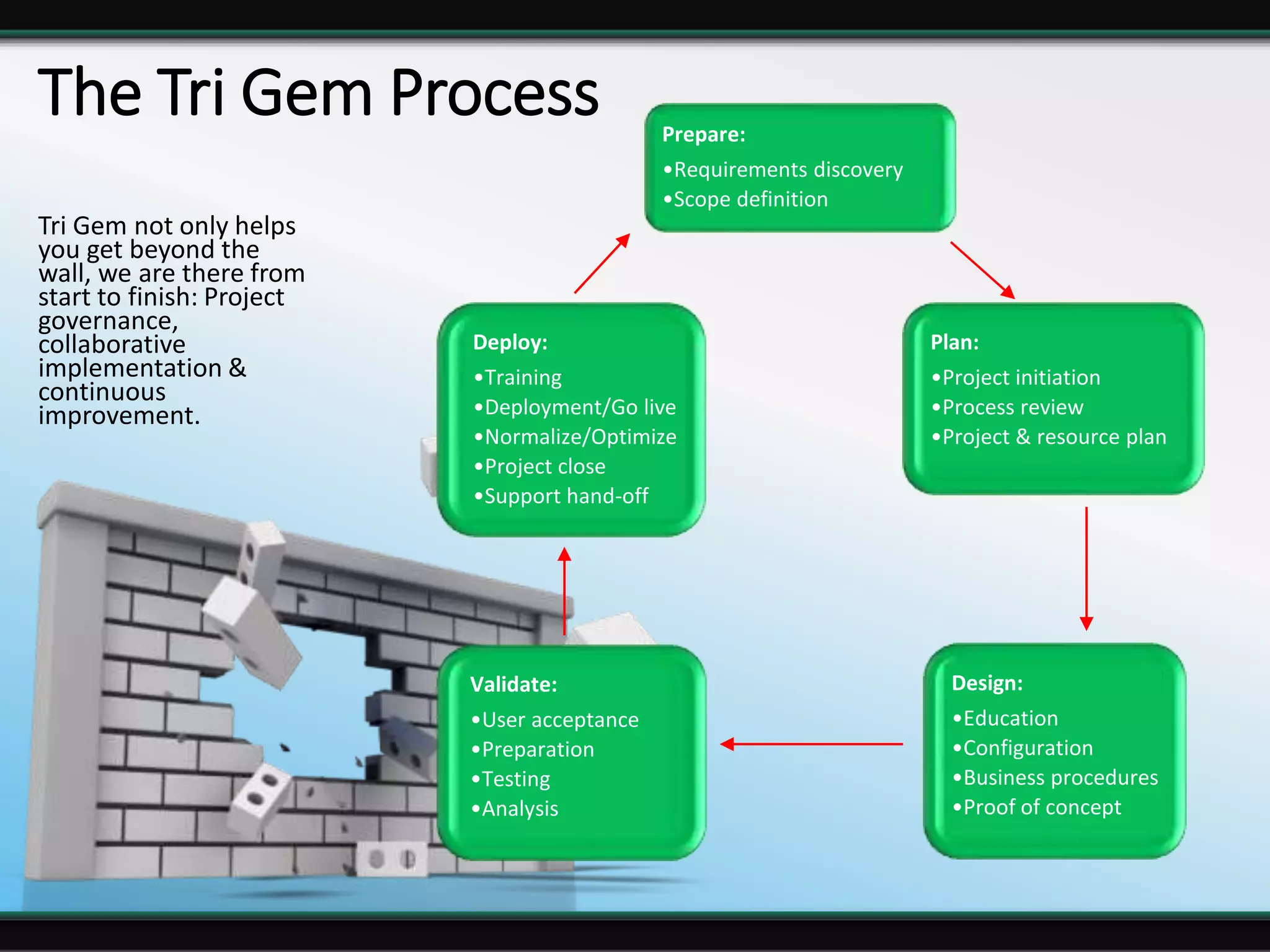 Tri Gem Company Overview | PPTX