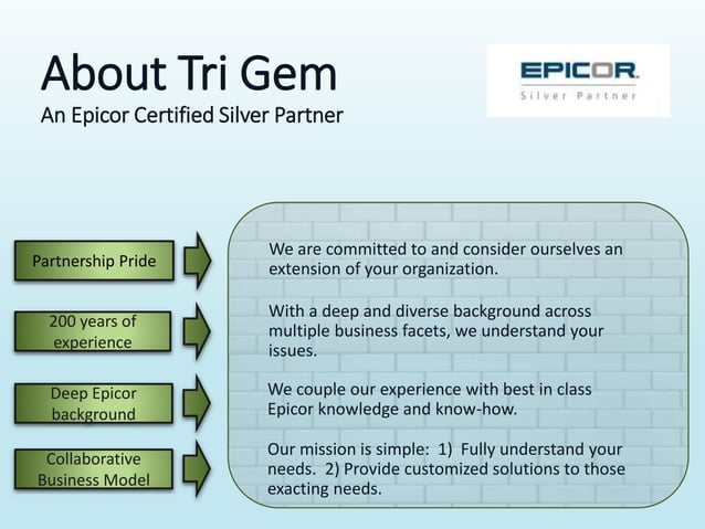 Tri Gem Company Overview | PPTX