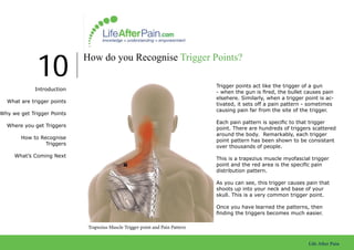 Trigger Point Manual | PDF