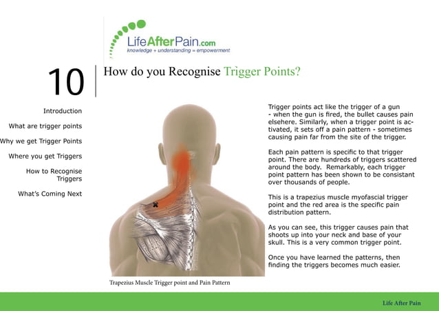 Trigger Point Manual | PDF