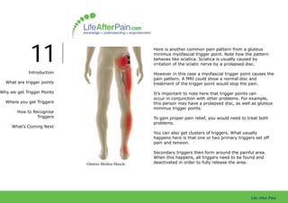 Trigger Point Manual | PDF