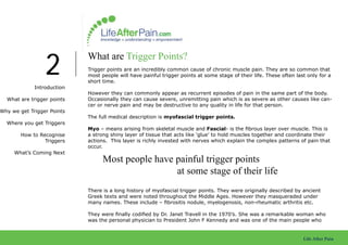 Trigger Point Manual | PDF