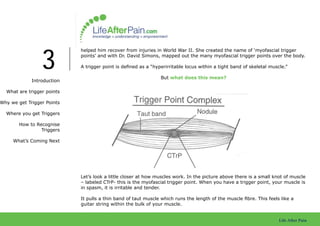 Trigger Point Manual | PDF