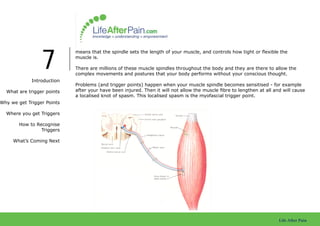 Trigger Point Manual | PDF