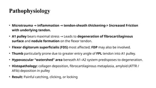 Trigger and Dupuytrens Contracture .pptx
