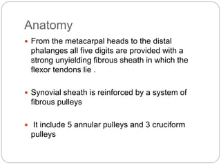 Trigger finger - adult and congenital | PPTX