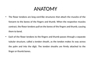 trigger finger causes, symptoms and treatment | PPT