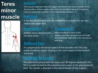Trigger Point Dry Needling | PPSX