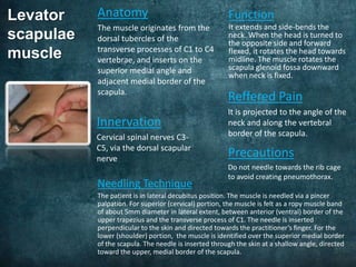 Trigger Point Dry Needling | PPSX