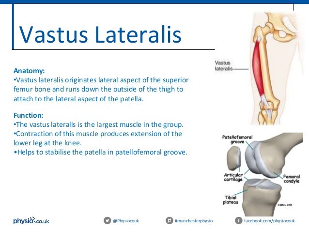 Trigger point presentation workshop 01.04.17