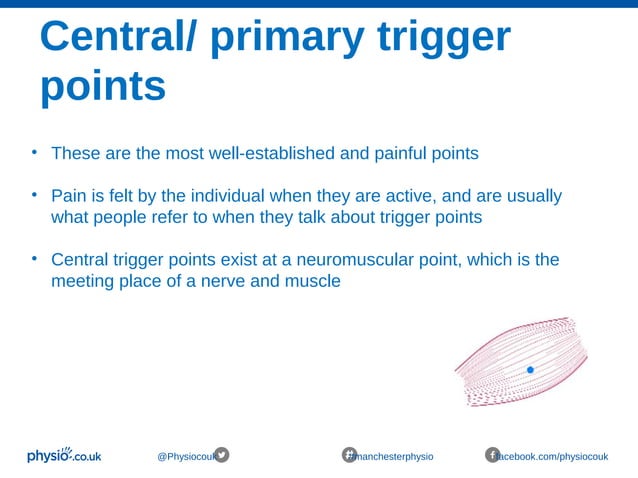 Trigger Point Therapy Slides | PPT
