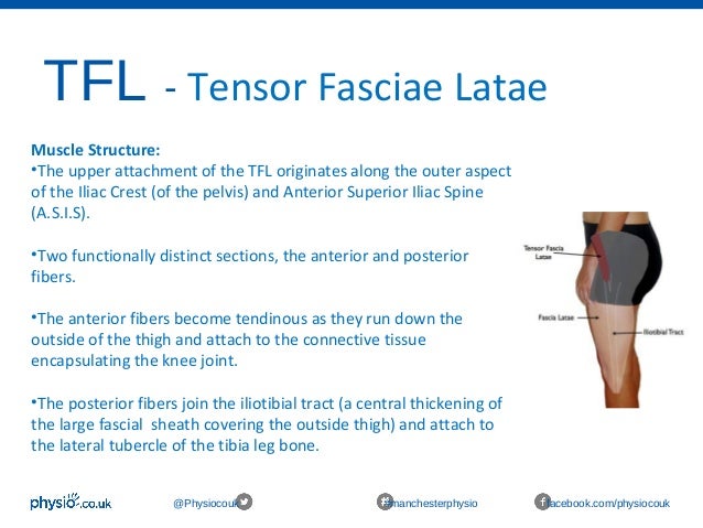 Trigger Point Therapy Slides