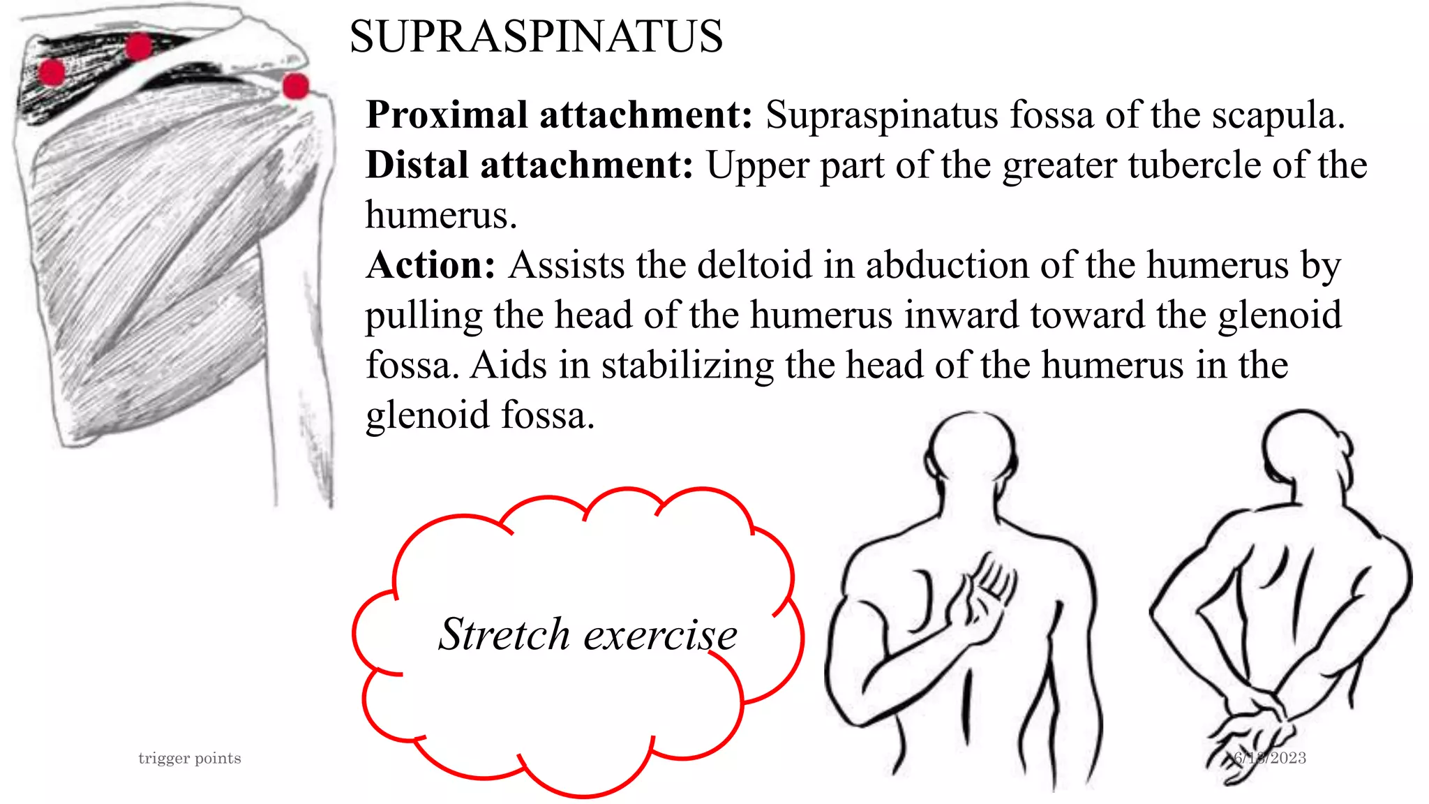 Trigger point therapy .pptx