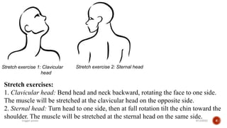 Trigger point therapy .pptx