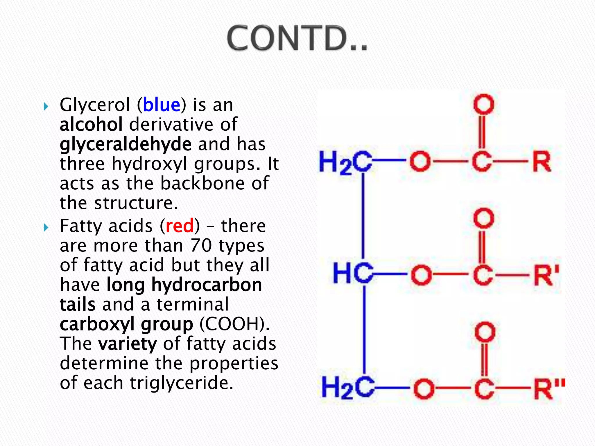 Triglyceride metabolism | PPTX