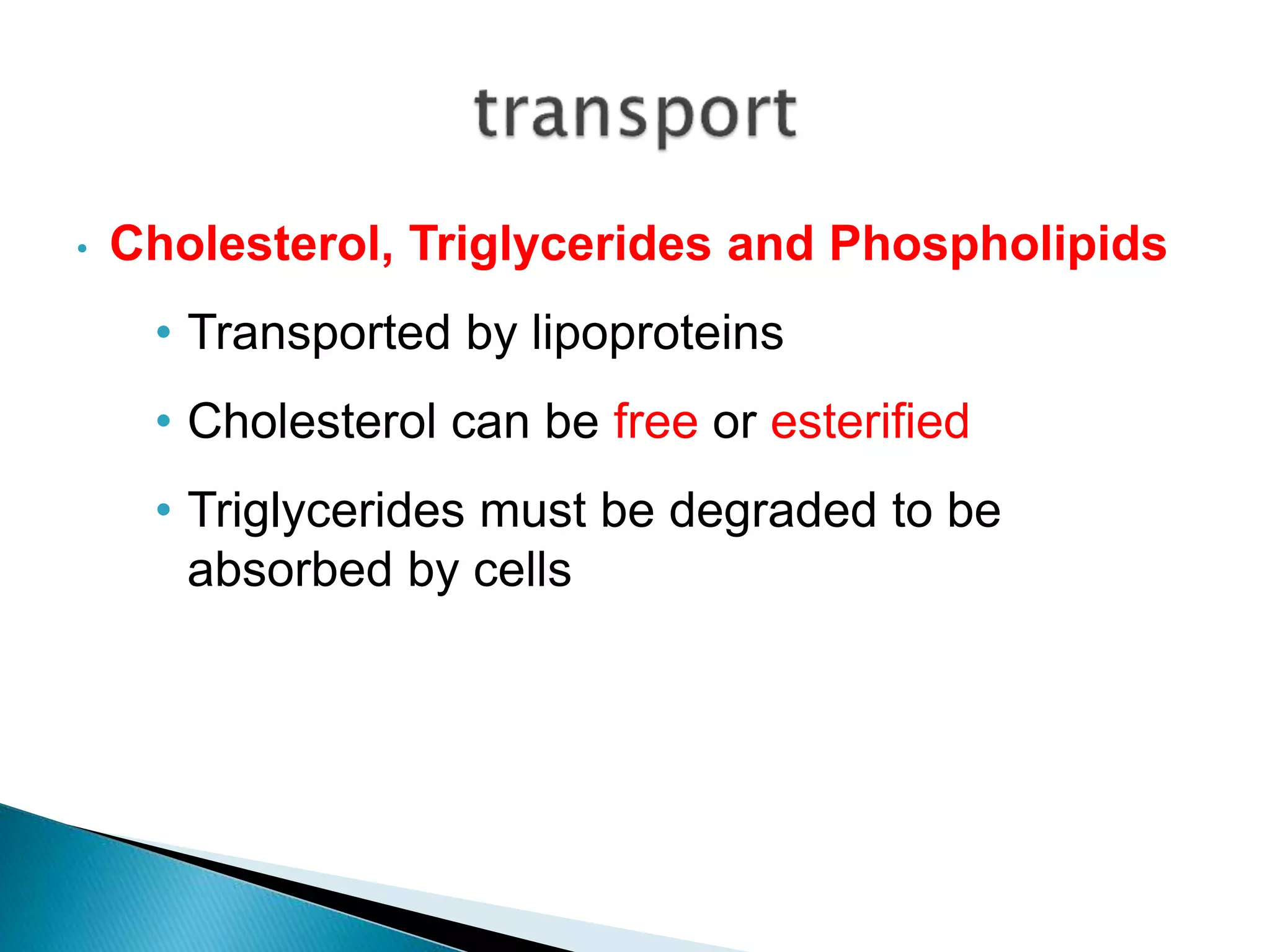 Triglyceride metabolism | PPTX