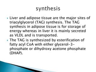 Triglyceride metabolism | PPTX