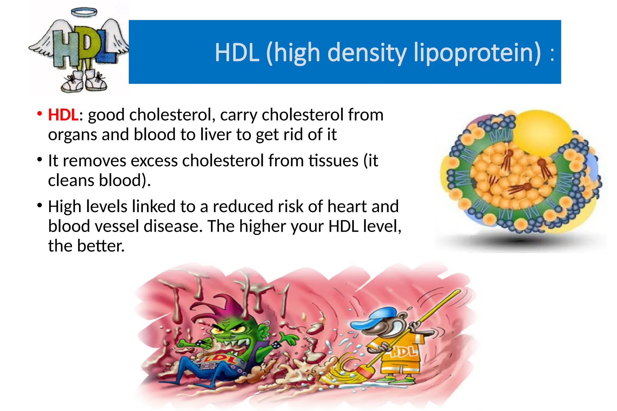TRIGLYCERIDE ESTIMATION IN SERUM-ENZYMATIC METHOD . | PPT