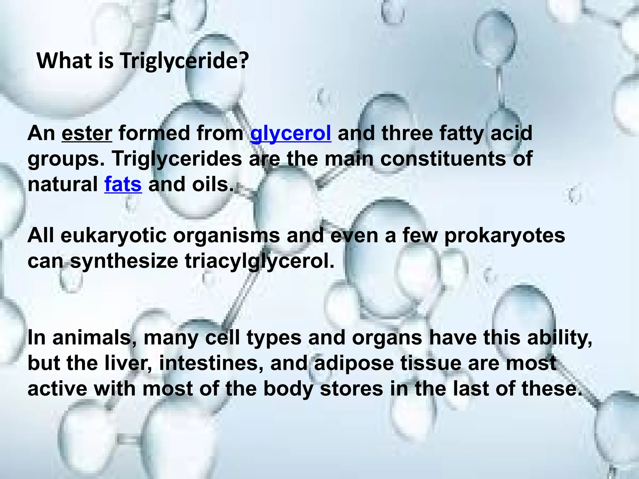 Triglycerides are the, lipid metabolism. | PPTX