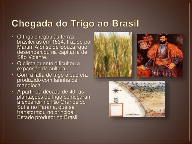 Trigo no Brasil e no Mundo