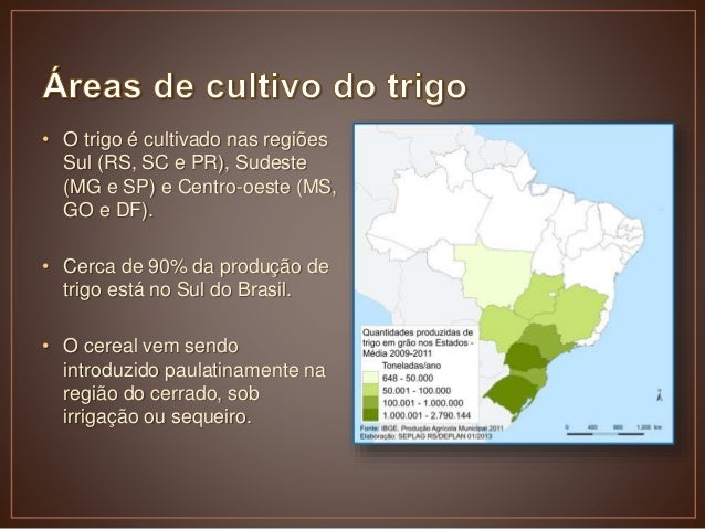 Trigo no Brasil e no Mundo