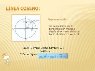 CIRCUNFERENCIAS TRIGONOMETRICAS | PPTX