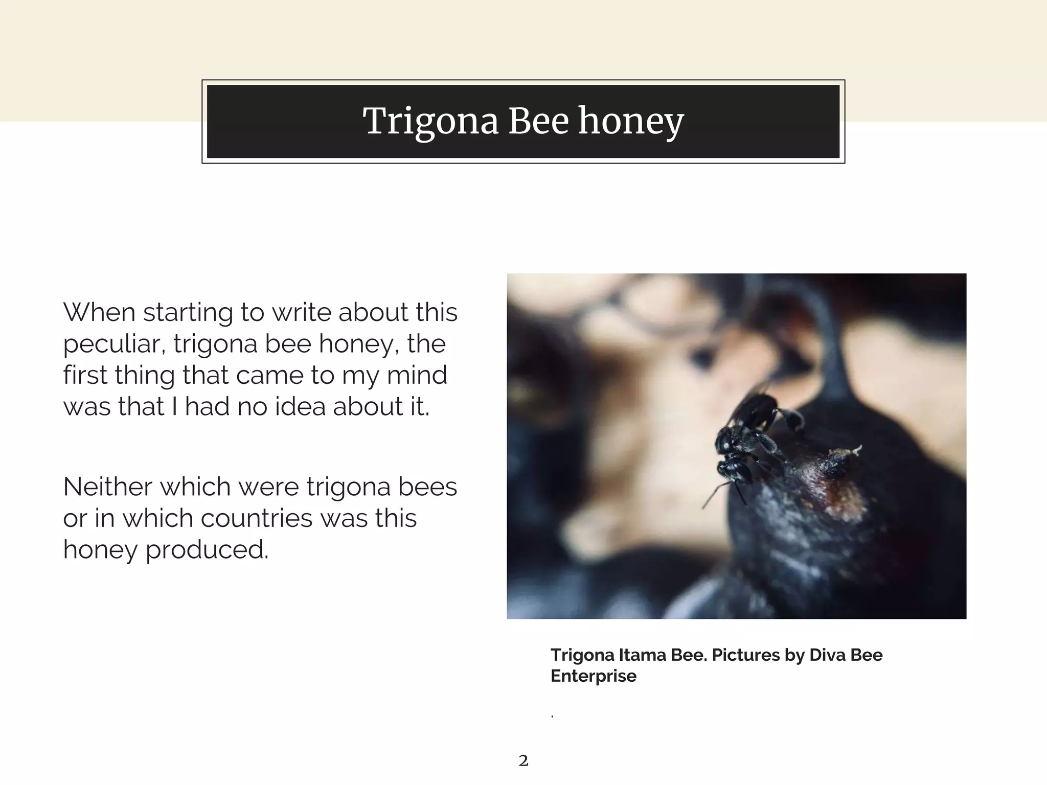 Trigona bee honey | PPTX