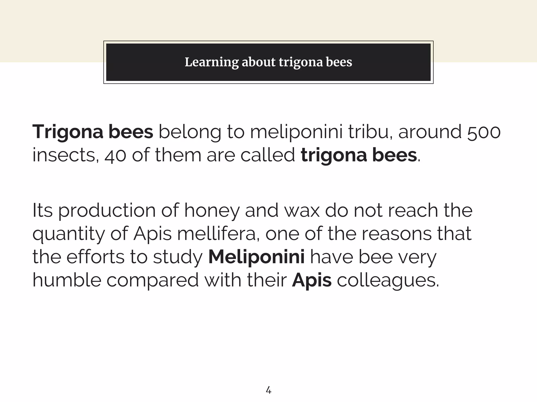 Trigona bee honey | PPTX