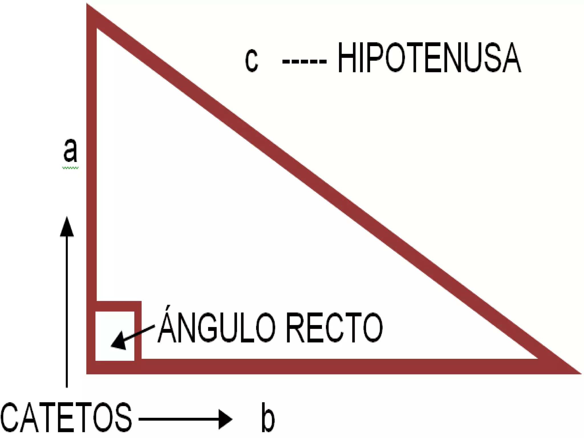Trigono | PPTX