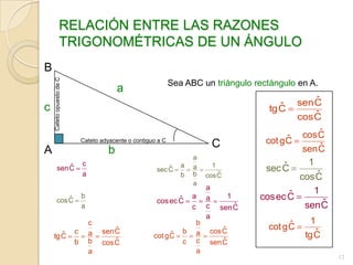 Trigonometria | PPTX