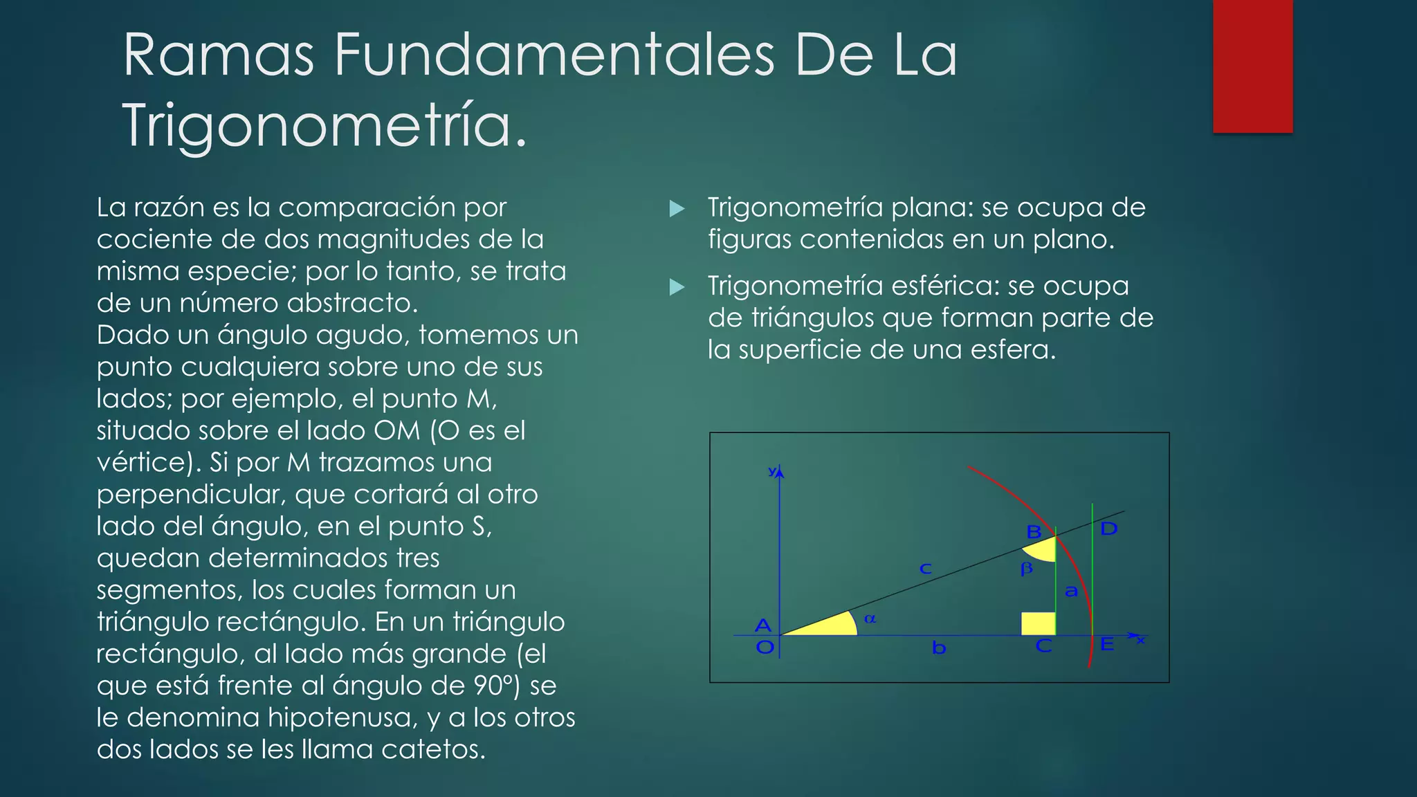 Trigonometria | PDF