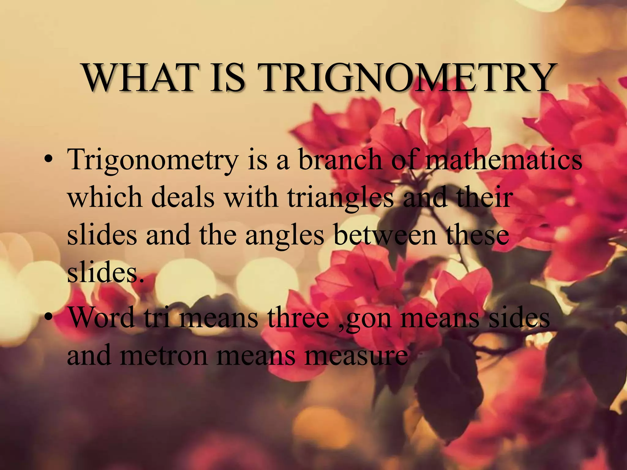 Trigonometry | PPTX | Physics | Science