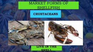 Trigo, Rachel M. (Food and Nutrition Education).pptx | Cooking | Food ...