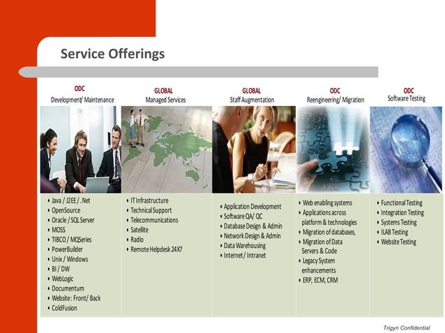 Trigyn Corporate Overview Ms 2.2.2010