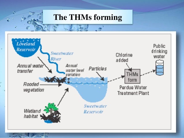 Trihalomethanes THMS