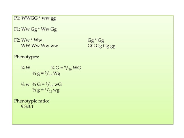 Trihybrid cross | PPTX